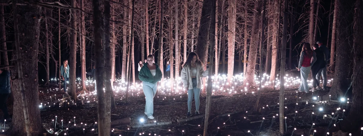 Akadi Lumina - AN ENCHANTED NIGHT WALK INTO THE HEART OF A VIBRANT CULTURE