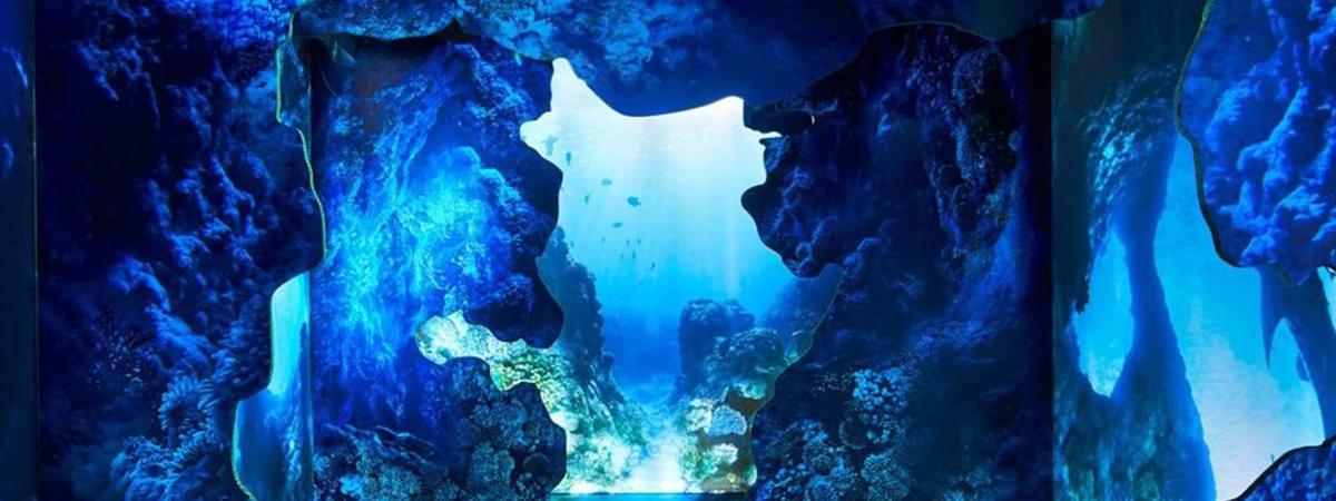 Arcadia Earth (Toronto) - An immersive journey through Planet Earth